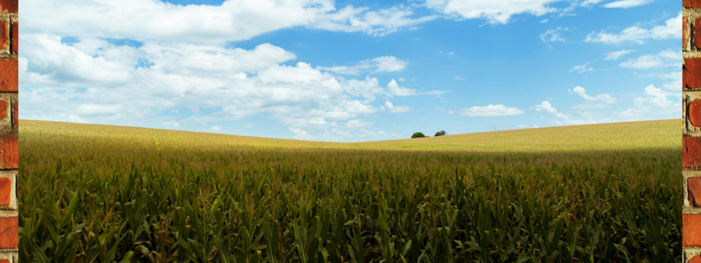 Nebraska Day: Celebrating the State and Its Iconic Movies - Brickwall ...